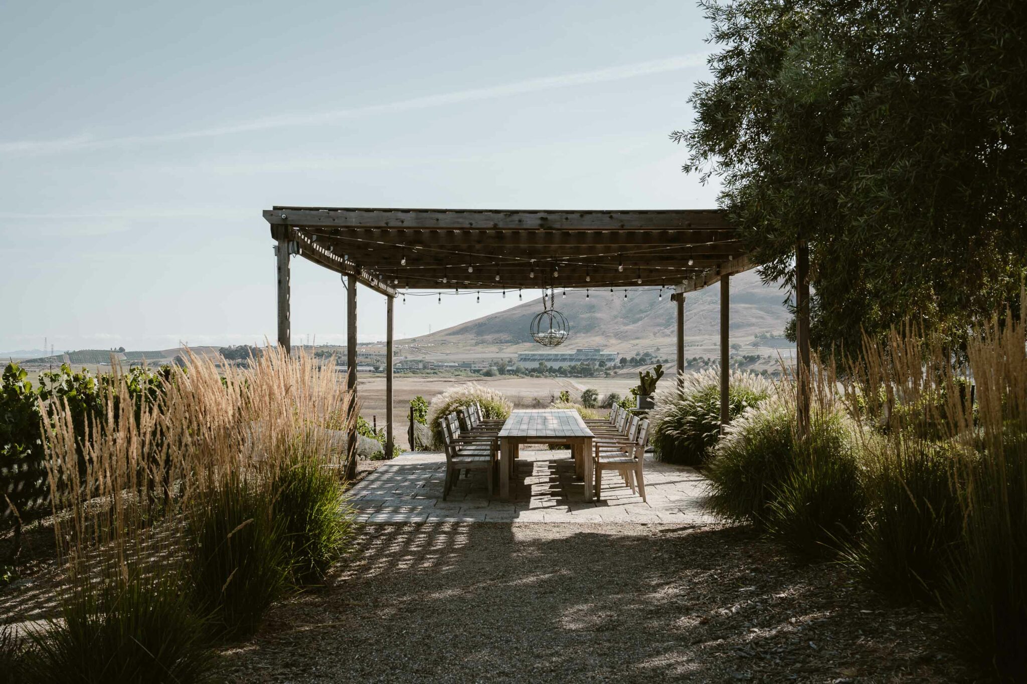 Finally visiting Ram’s Gate Winery - TRVL DIARY