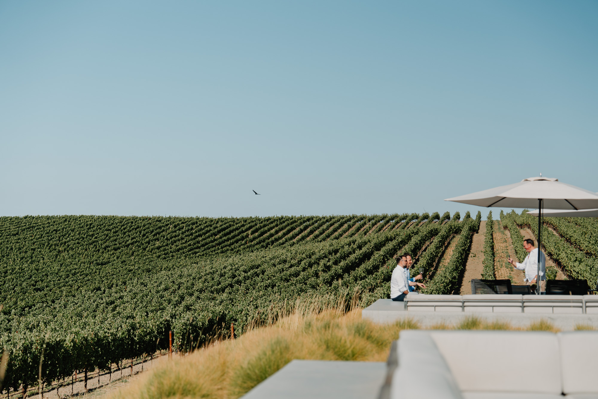 The new Boathouse Wine Tasting Experience at Cuvaison - TRVL DIARY